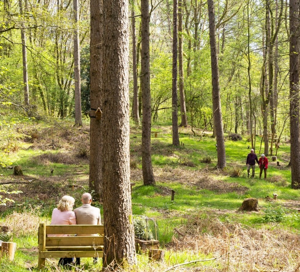 The healing power of nature: Seven ways nature can help us through ...